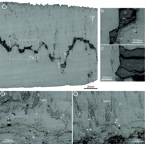 Role of pressure solution in the formation of bedding-parallel calcite ...