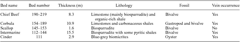 Role of pressure solution in the formation of bedding-parallel calcite ...