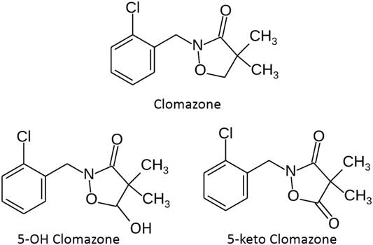 Herbicide Metabolism: Crop Selectivity, Bioactivation, Weed Resistance ...