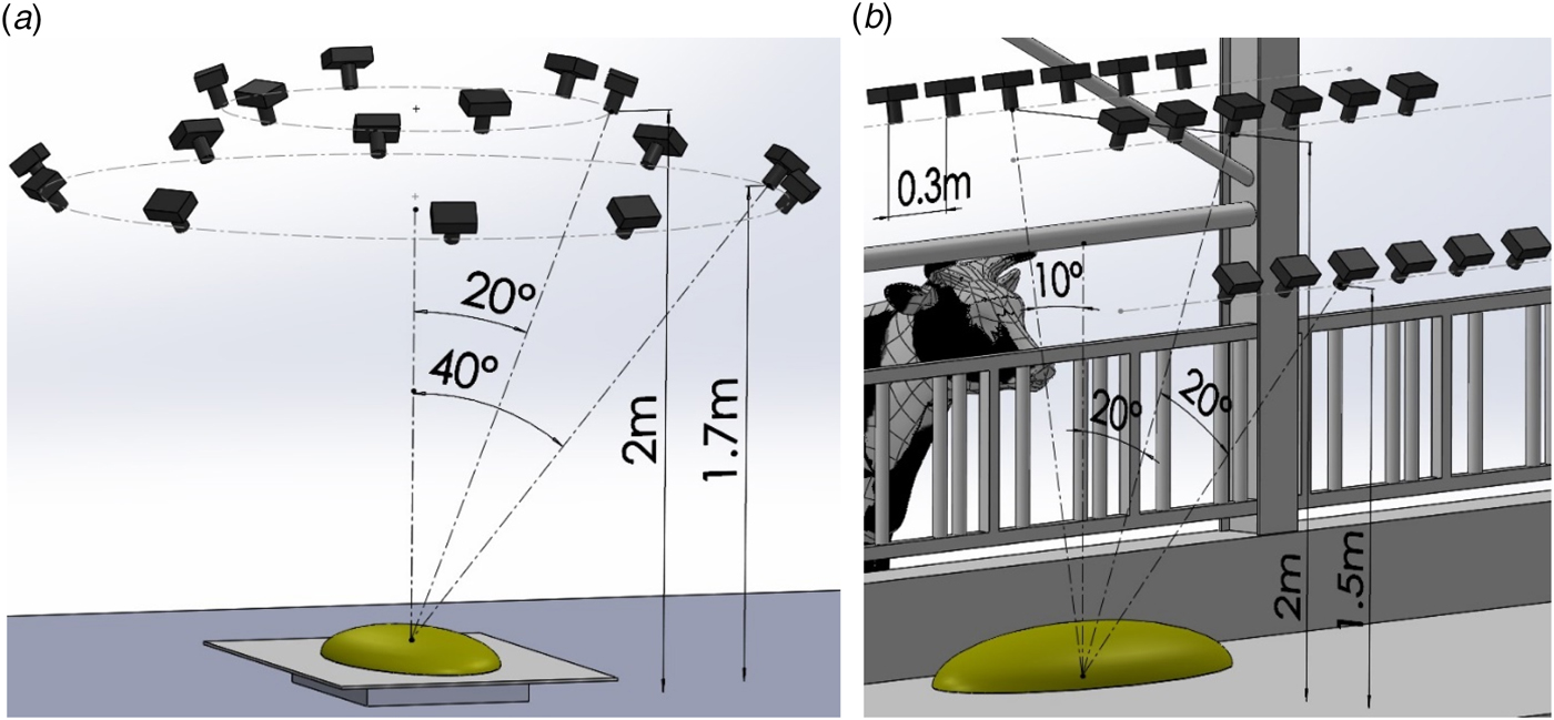 Assessing the potential of photogrammetry to monitor feed intake of ...