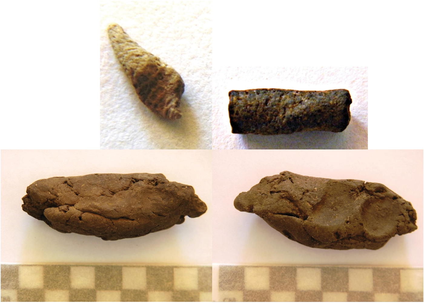 Reconsidering ‘Tokens’: The Neolithic Origins of Accounting or ...