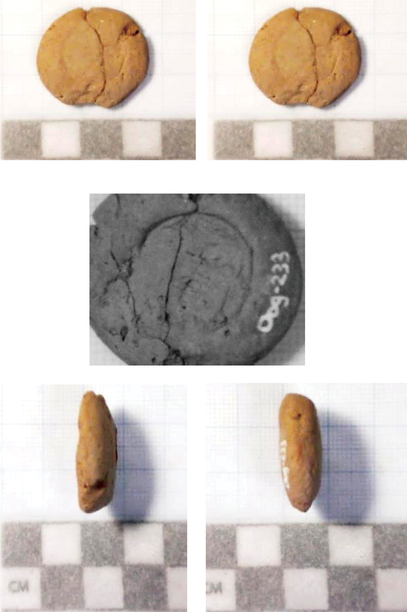 Reconsidering ‘Tokens’: The Neolithic Origins of Accounting or ...
