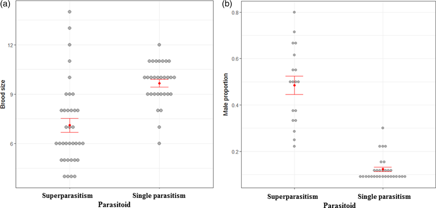 Oviposition strategy for superparasitism in the gregarious parasitoid ...
