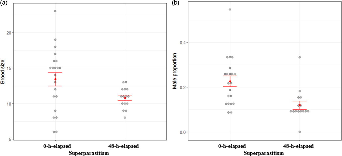 Oviposition strategy for superparasitism in the gregarious parasitoid ...