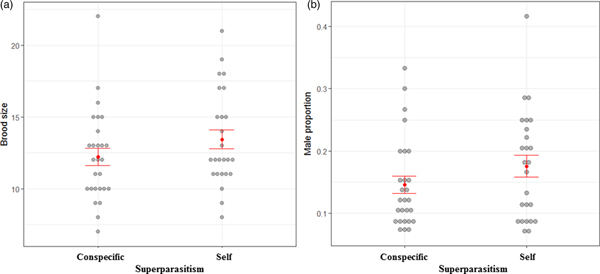 Oviposition strategy for superparasitism in the gregarious parasitoid ...