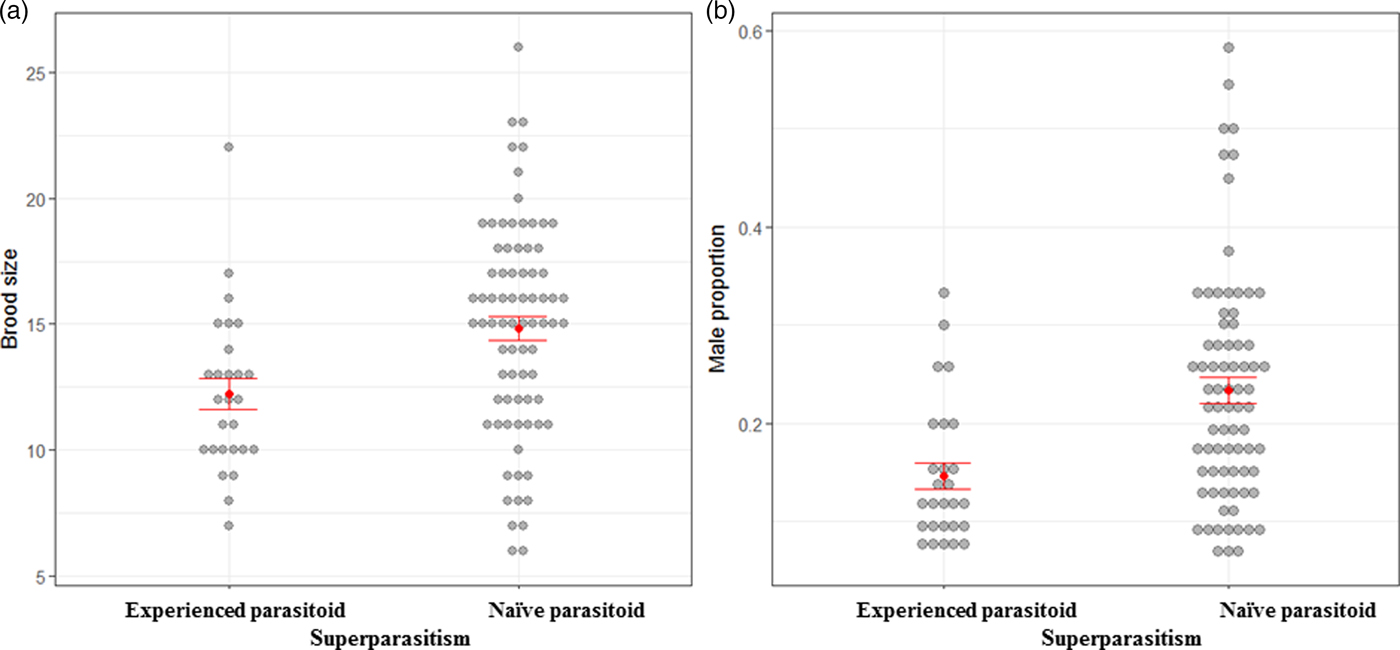 Oviposition strategy for superparasitism in the gregarious parasitoid ...