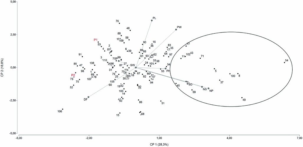 TRANSGRESSIVE SEGREGATION, HETEROSIS AND HERITABILITY FOR YIELD-RELATED ...