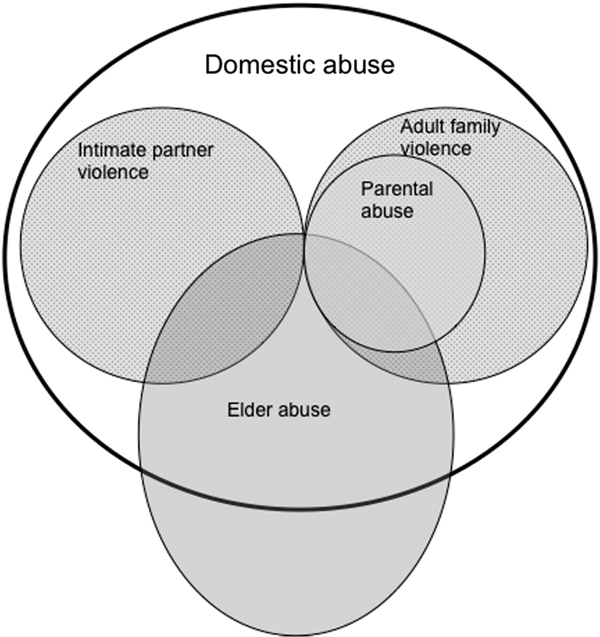 Older adults and violence: an analysis of Domestic Homicide Reviews in ...