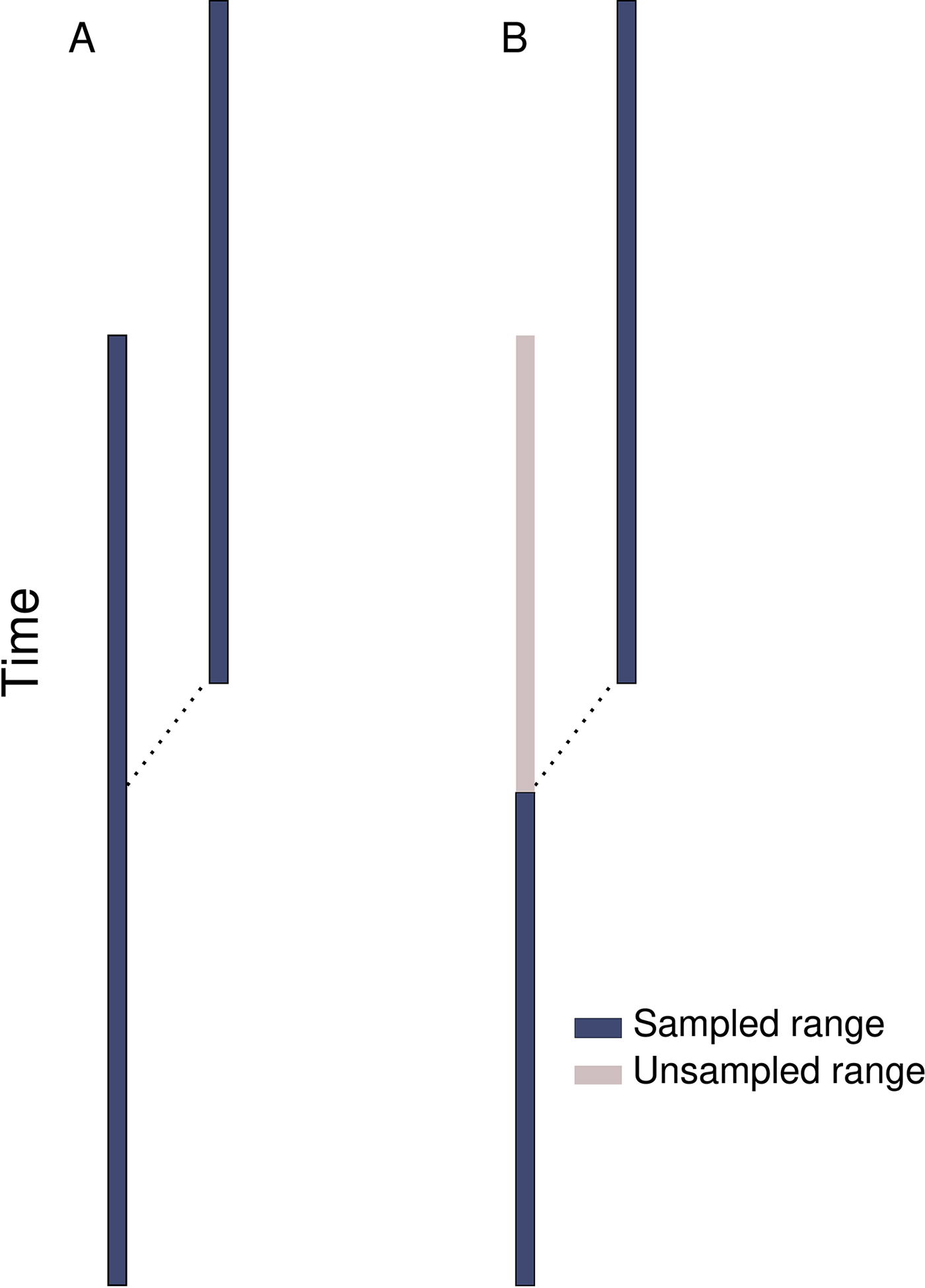 Phylogeny, ancestors, and anagenesis in the hominin fossil record ...