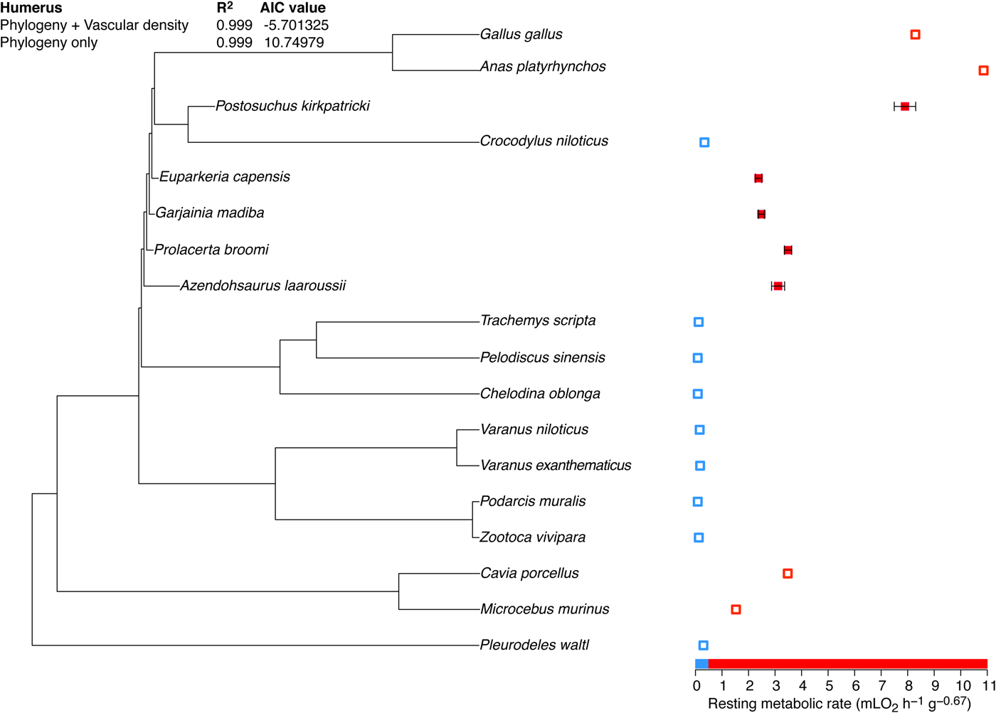 Bone histology of Azendohsaurus laaroussii: Implications for the ...