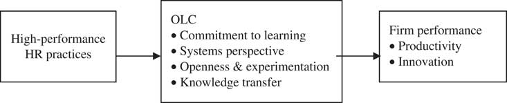 Do high-performance human resource practices work? The mediating role of organizational learning ...