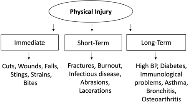 Health Risks in Disaster Responders: A Conceptual Framework ...