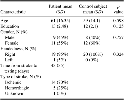 Allocentric Versus Egocentric Neglect in Stroke Patients: A Pilot Study ...