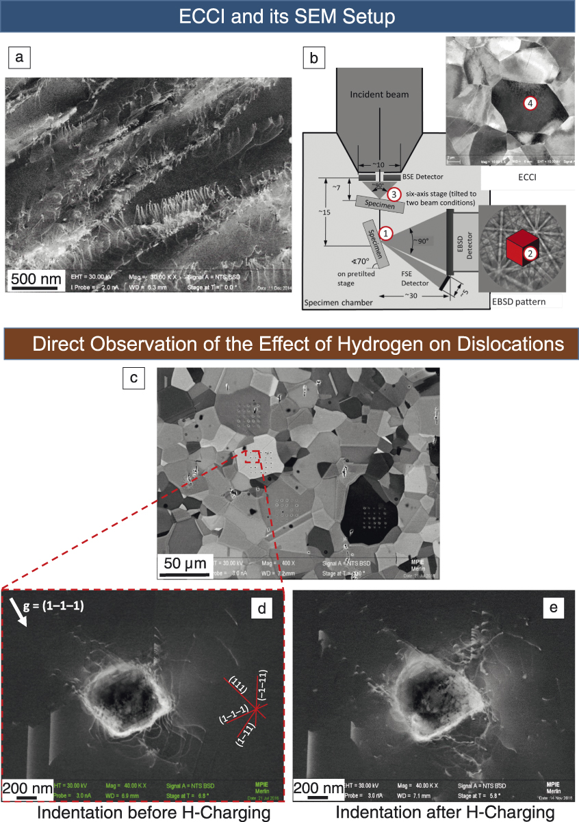 New techniques for imaging and identifying defects in electron ...