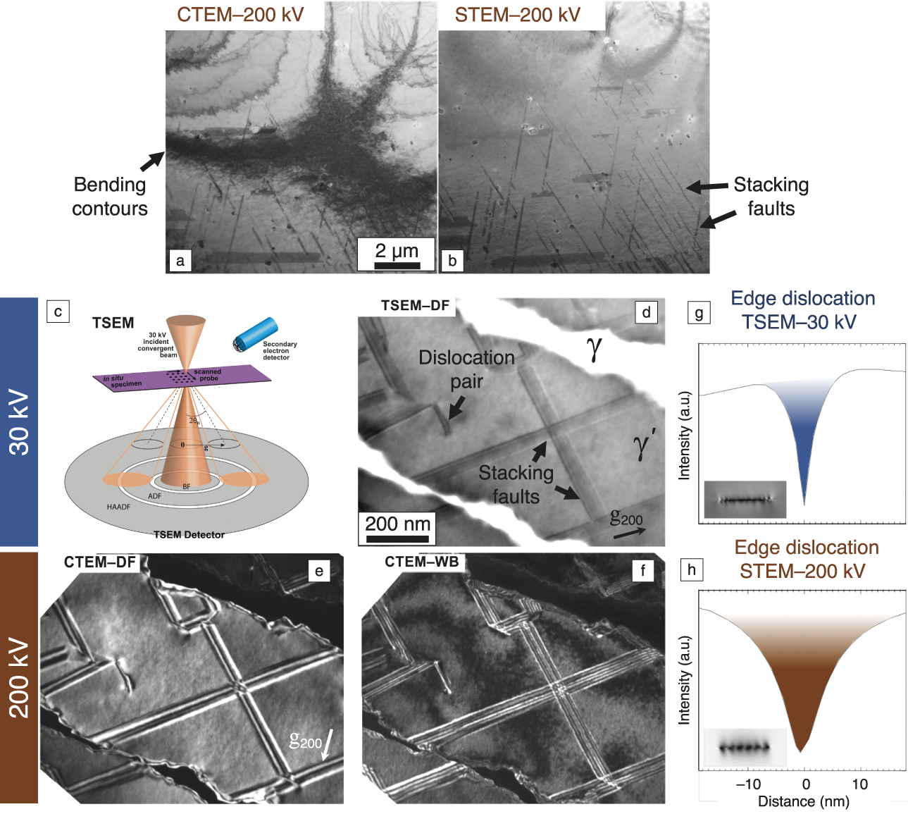 New techniques for imaging and identifying defects in electron ...