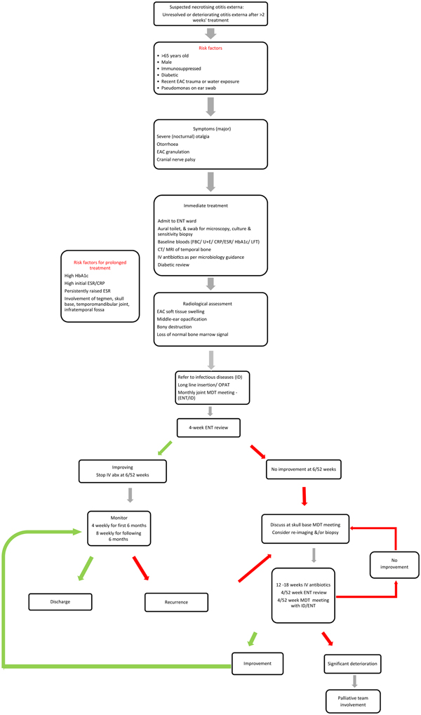 Malignant otitis externa, an increasing burden in the twenty-first ...