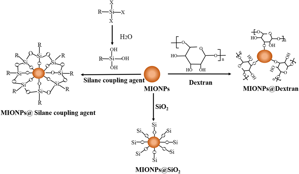 Synthesis, surface modification, and applications of magnetic iron ...