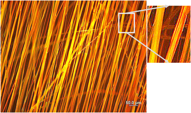 Formation of aligned core/sheath microfiber scaffolds with a poly-L ...