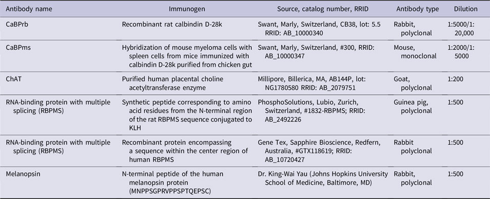 Melanopsin and calbindin immunoreactivity in the inner retina of humans ...
