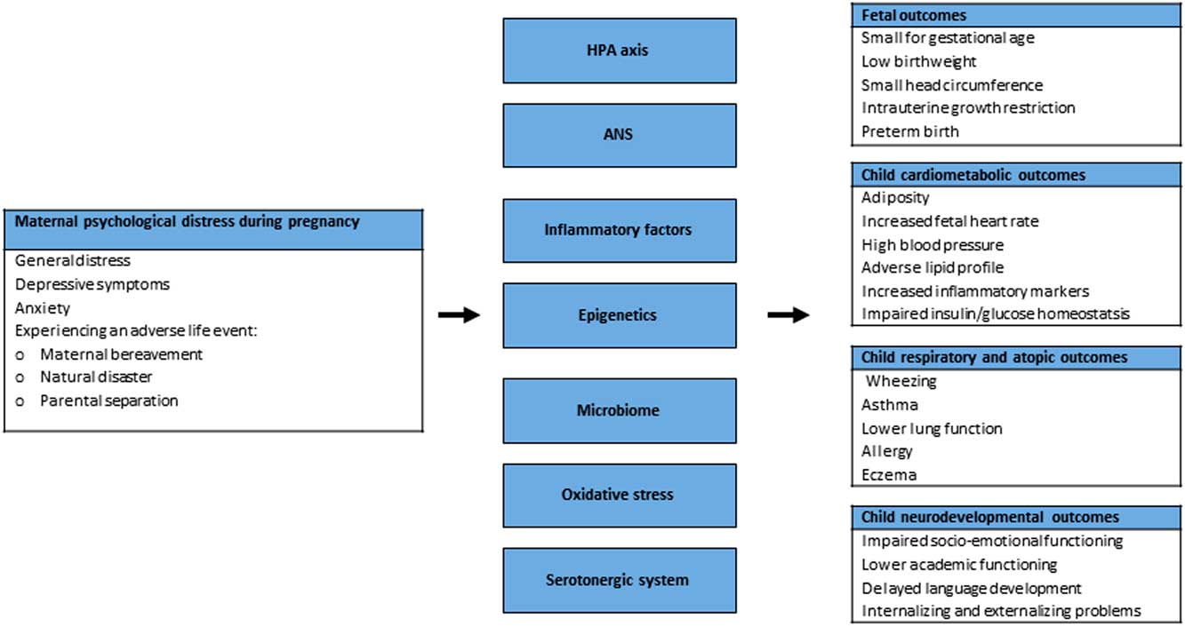 Maternal psychological distress during pregnancy and childhood health ...