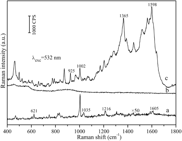 Facile preparation of nanoporous Ag decorated with CeO2 nanoparticles ...