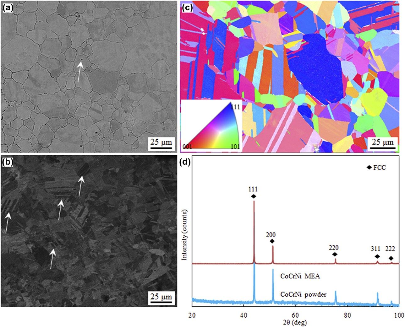 Microstructure and properties of CoCrNi medium-entropy alloy produced ...
