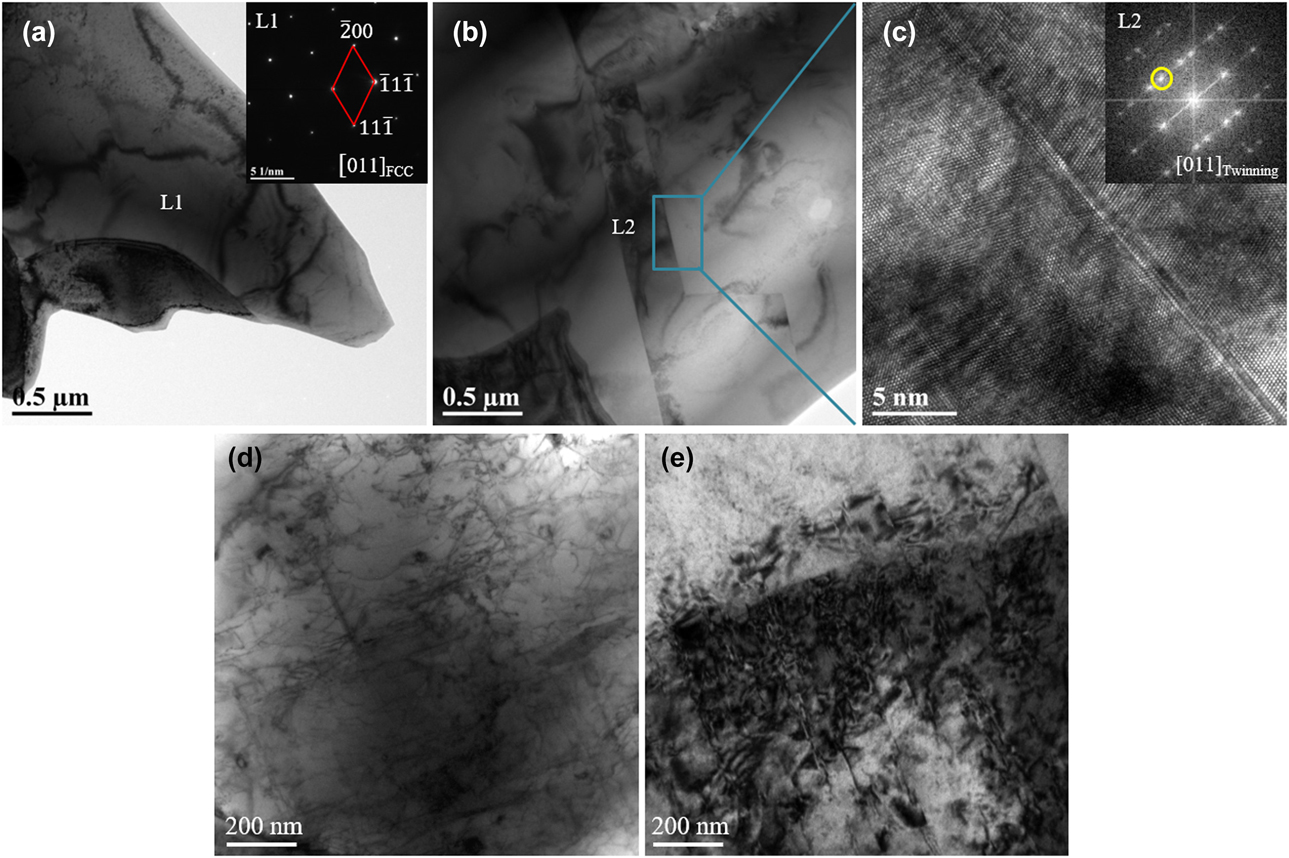 Microstructure and properties of CoCrNi medium-entropy alloy produced ...