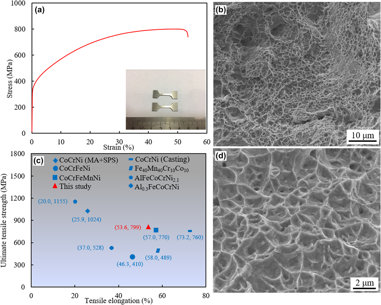 Microstructure and properties of CoCrNi medium-entropy alloy produced by gas atomization and ...