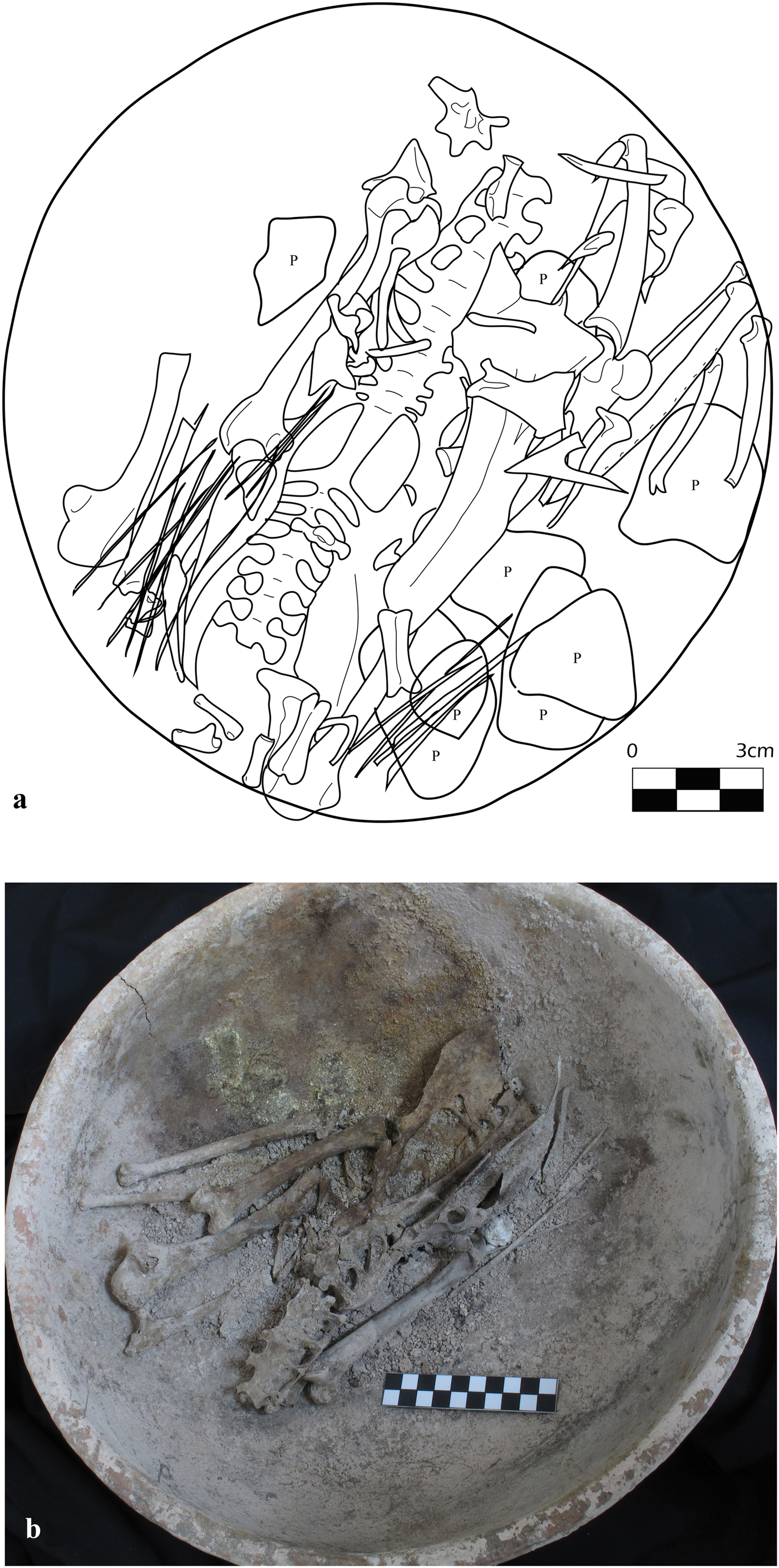 Creating the Cosmos, Reifying Power: A Zooarchaeological Investigation ...