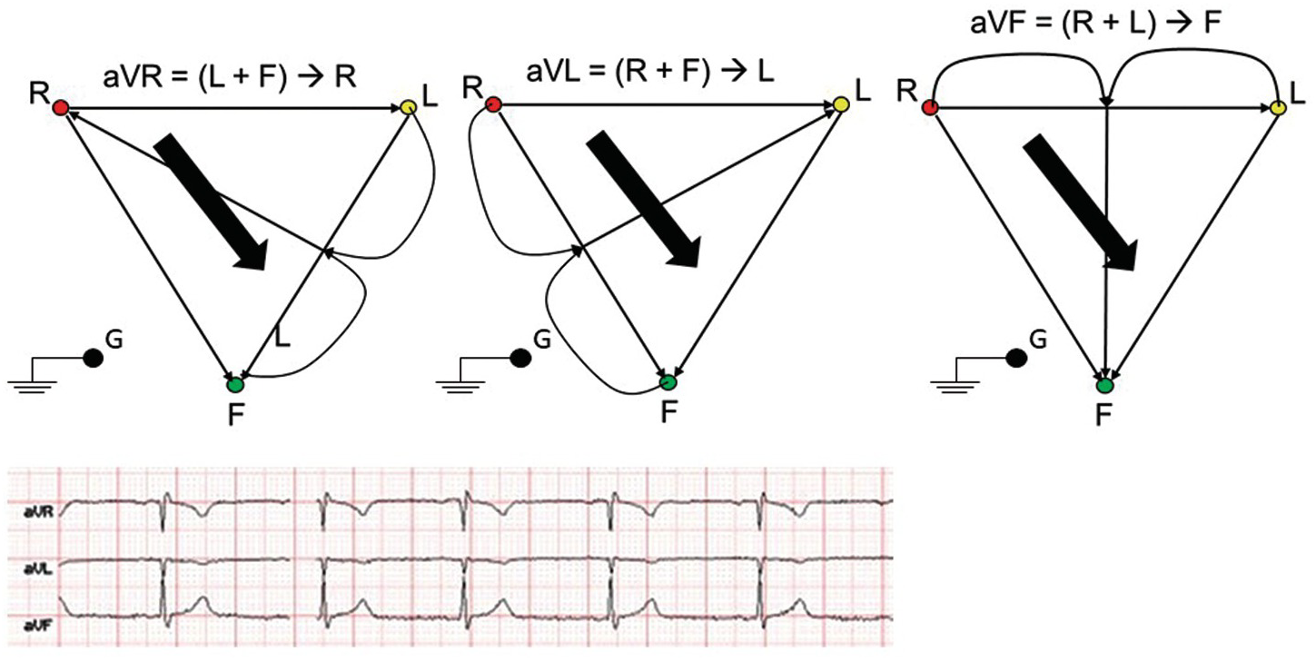 Basic Knowledge, Strategies, and Procedures (Chapter 2) - Ambient ...