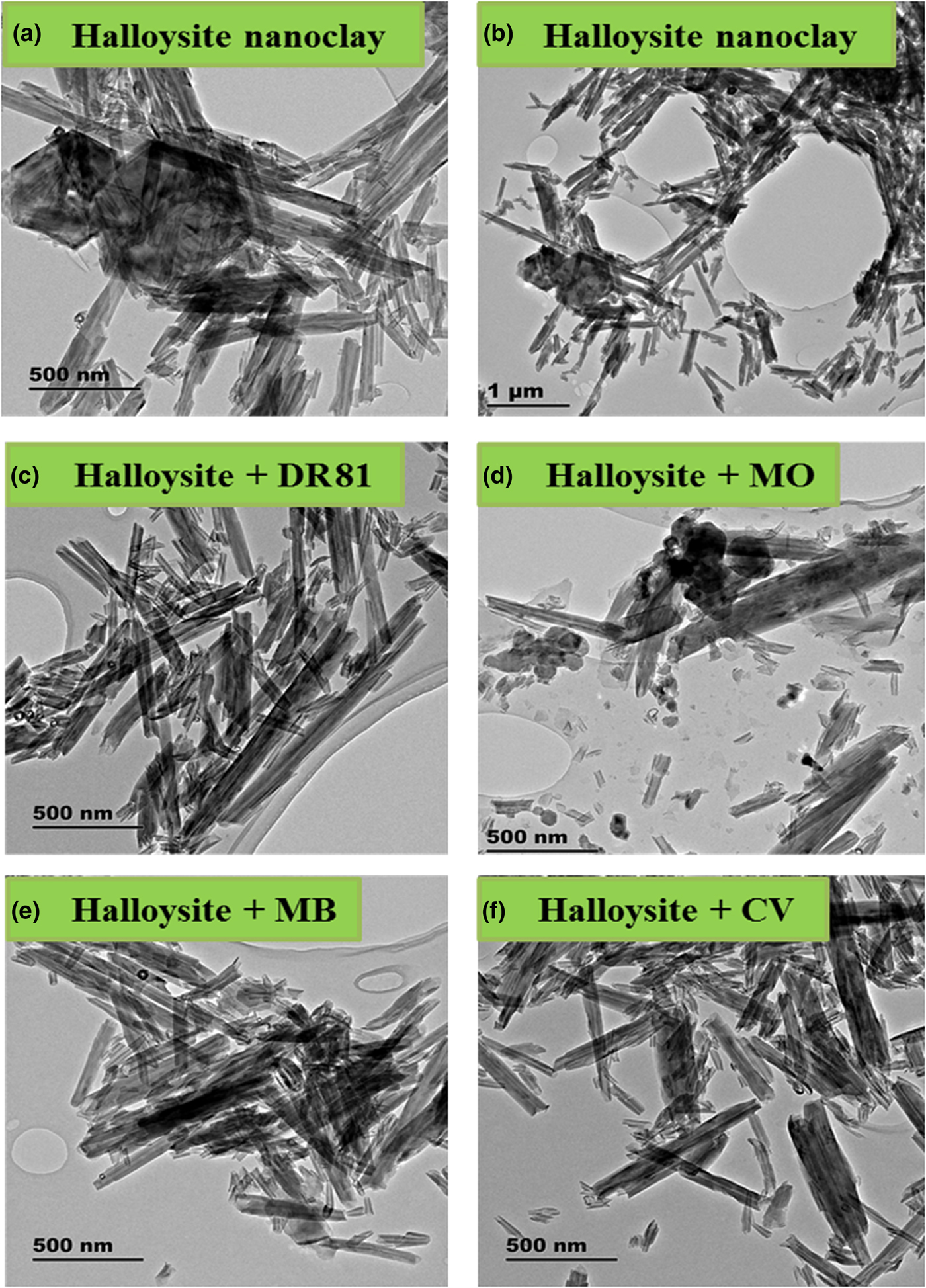 Evaluation of the efficacy of halloysite nanotubes in the removal of ...