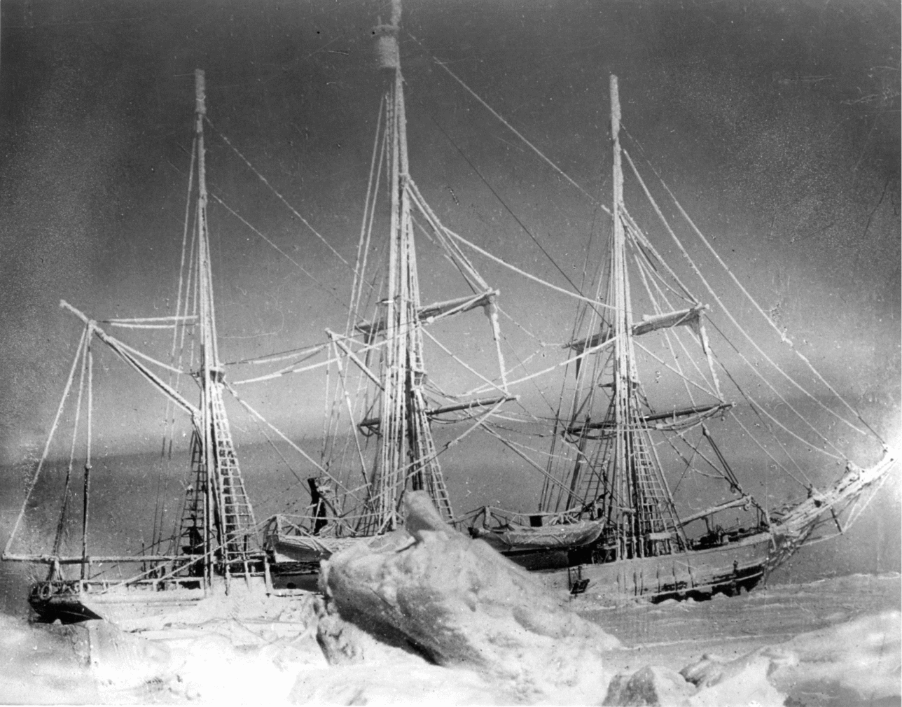 Frederick A. Cook: the role of photography in the making of his polar ...