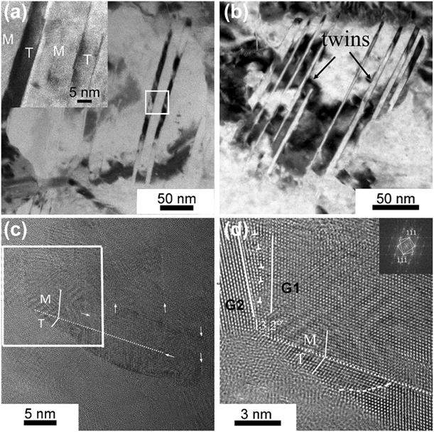 Grain size effect on deformation twin thickness in a nanocrystalline ...