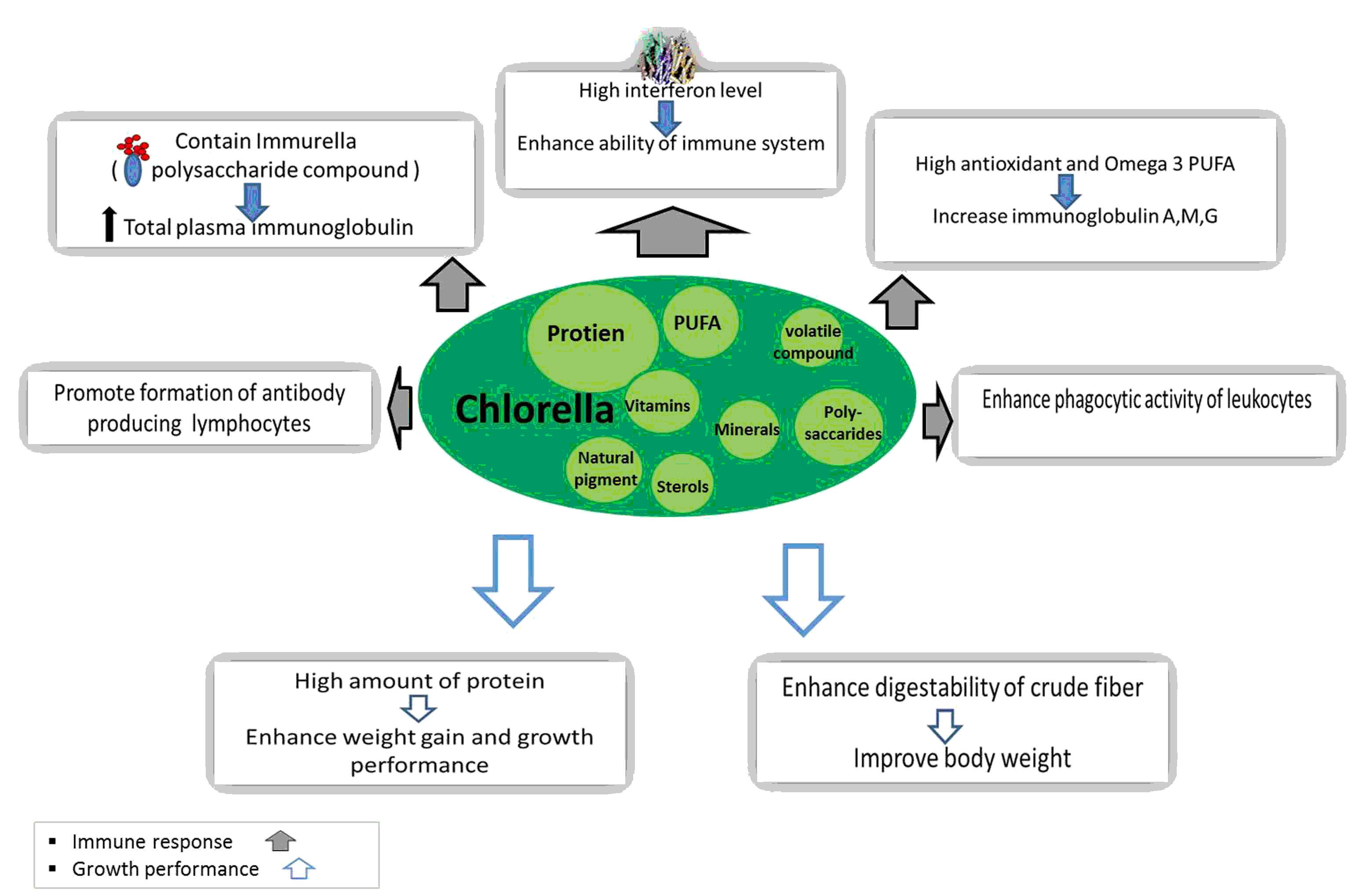 The application of the microalgae Chlorella spp. as a supplement in ...