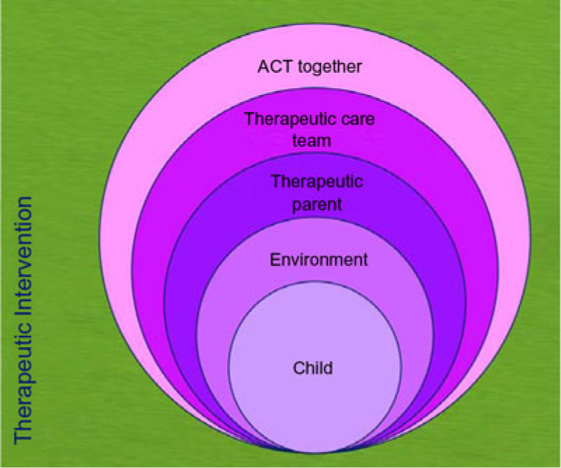 From therapy to therapeutic: the continuum of trauma-informed care ...