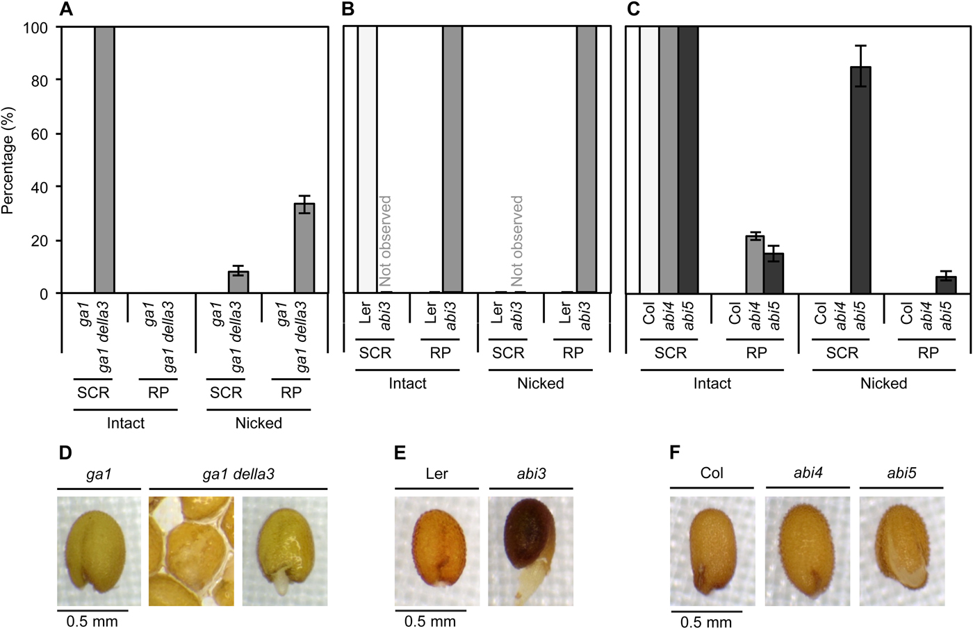 Control of seed coat rupture by ABA-INSENSITIVE 5 in Arabidopsis ...