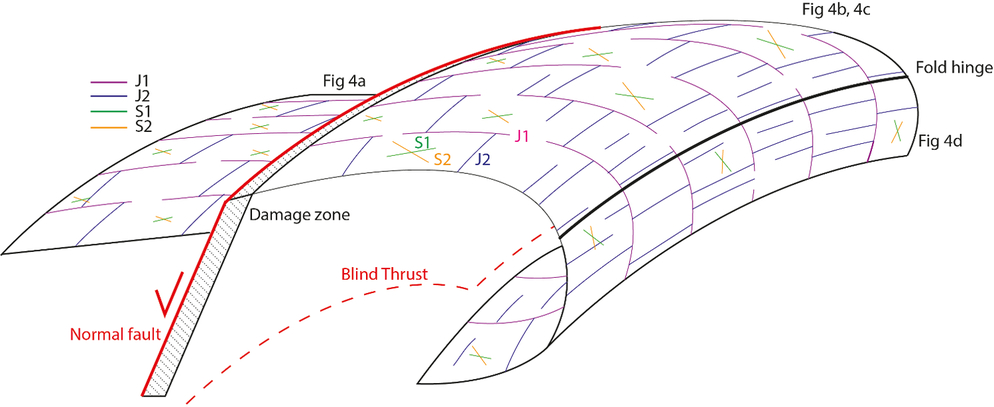 Distribution of joints in the hinge-line culmination of foreland ...