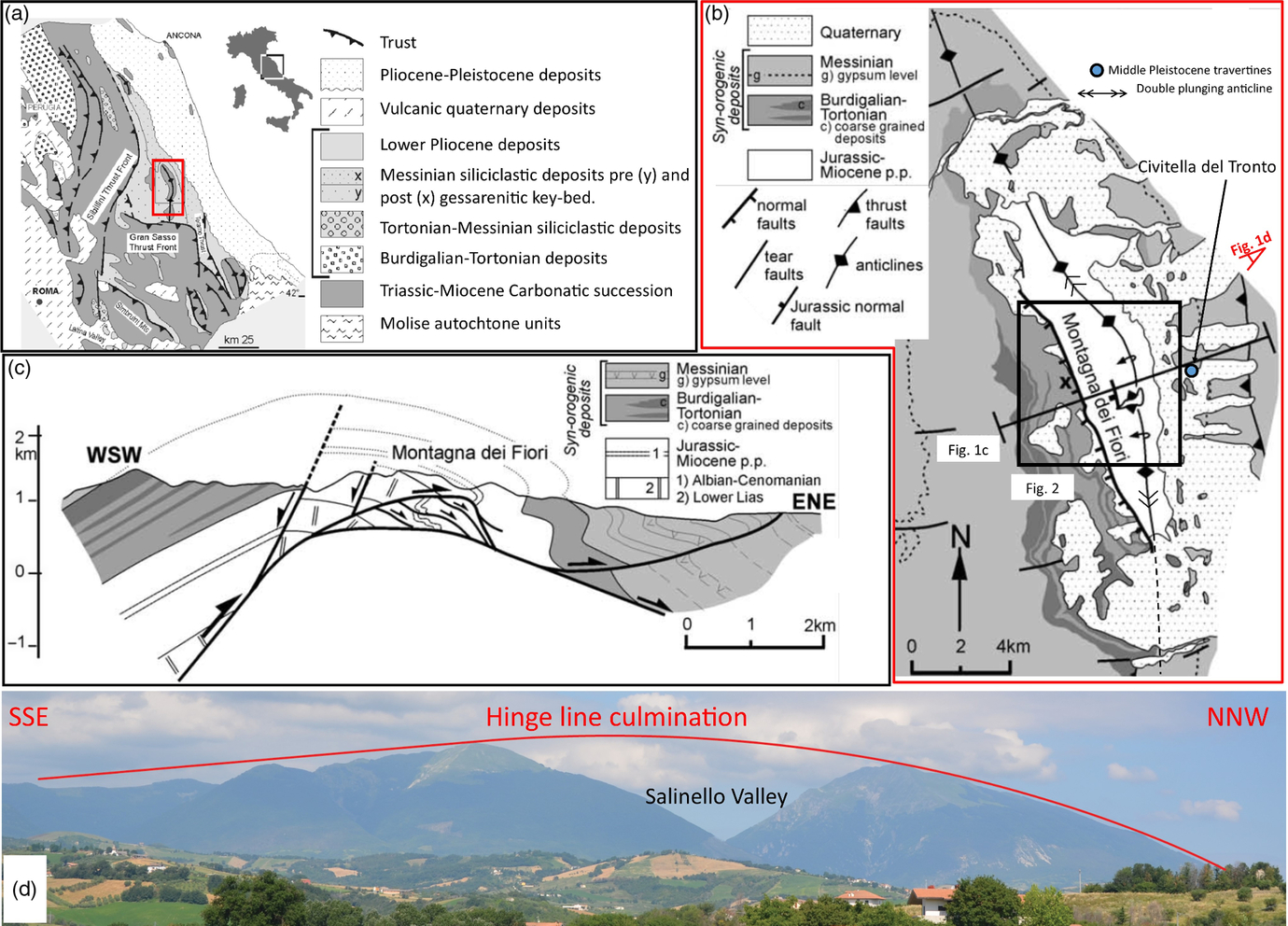 Distribution of joints in the hinge-line culmination of foreland ...