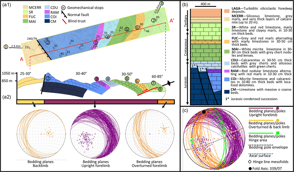 Distribution of joints in the hinge-line culmination of foreland ...