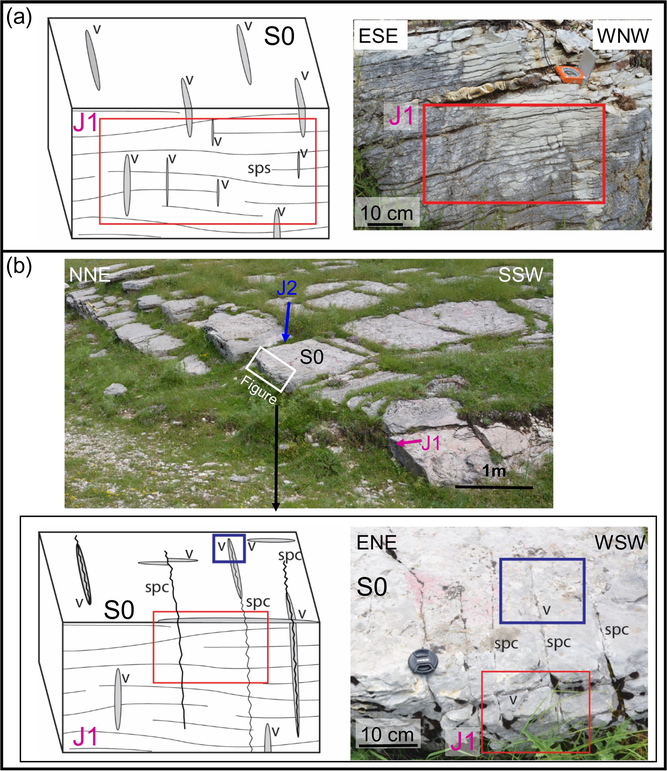 Distribution of joints in the hinge-line culmination of foreland ...