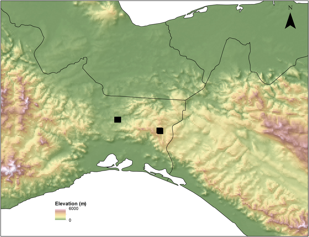New species of Canthidium (Coleoptera: Scarabaeidae: Scarabaeinae) from ...