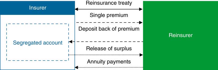 Developments in the Management of Annuity Business | British Actuarial ...