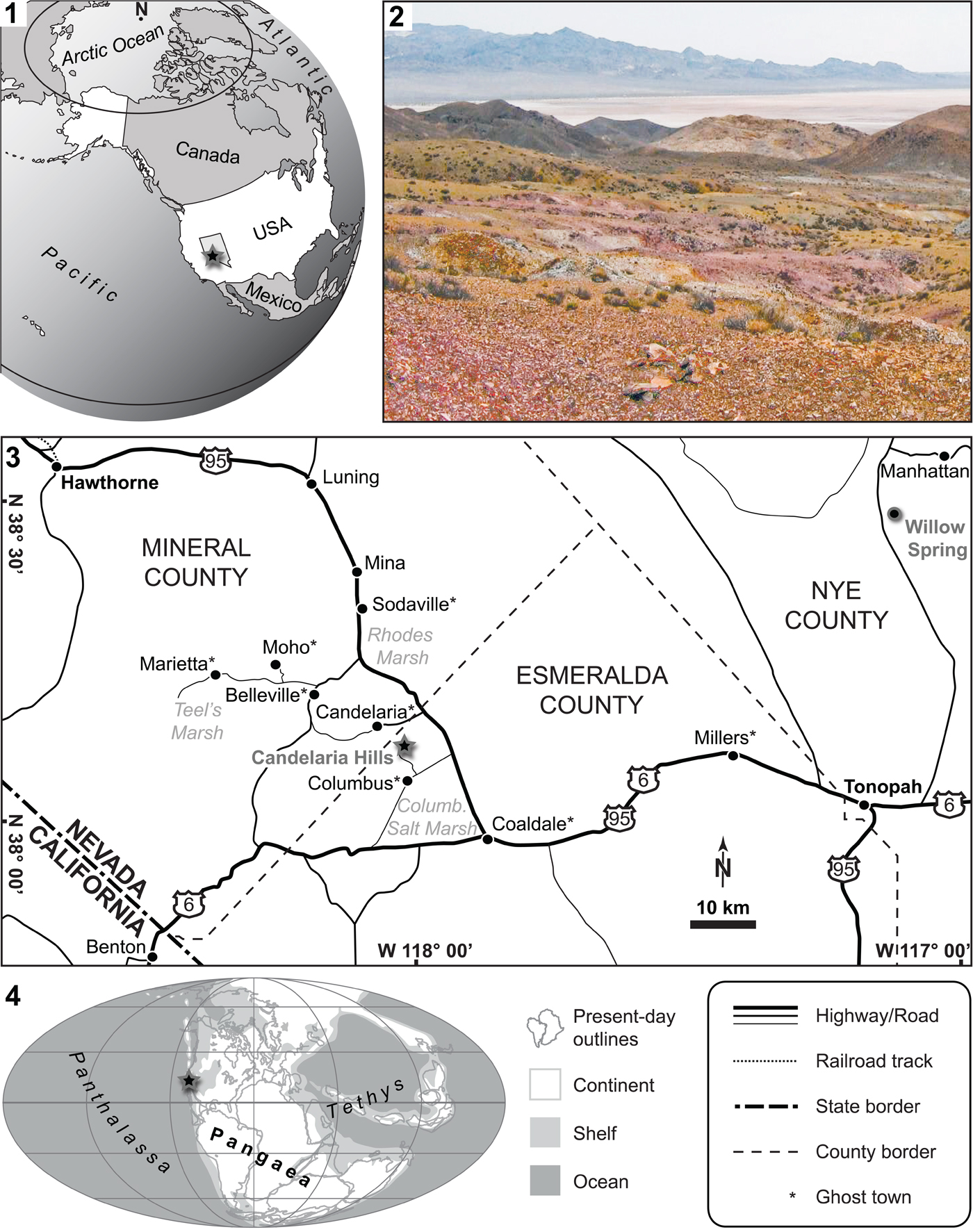 Marine Early Triassic Actinopterygii from the Candelaria Hills ...