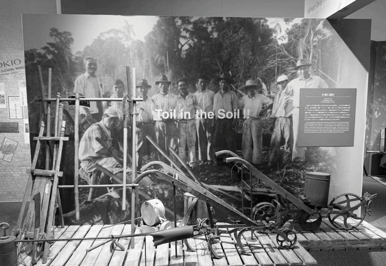 Conclusion - The Making of Japanese Settler Colonialism