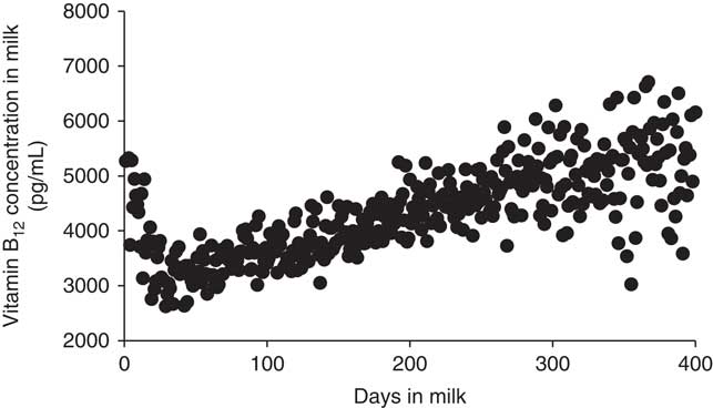 Impact of diet management and composition on vitamin B12 concentration ...