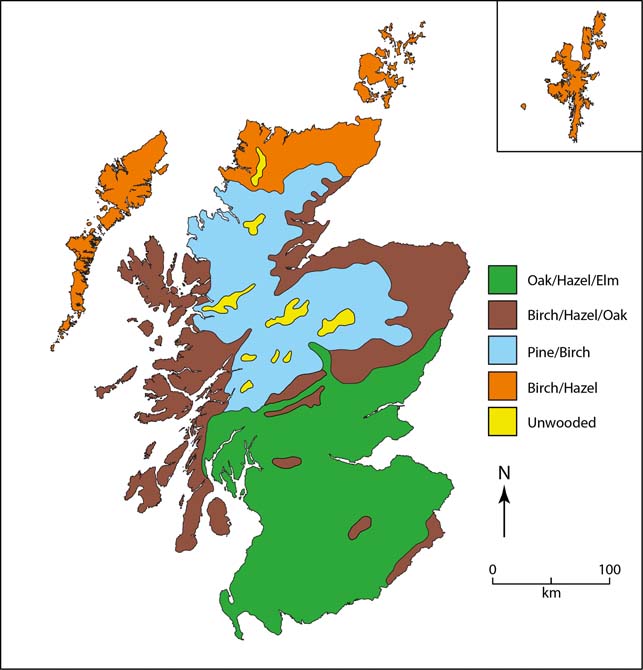 Palaeoecological perspectives on Holocene environmental change in ...