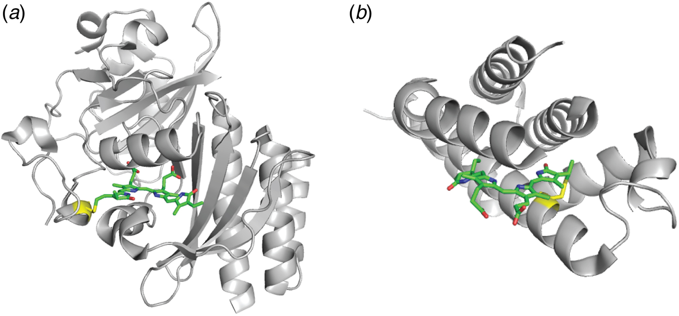 Tracking RNA with light: selection, structure, and design of ...