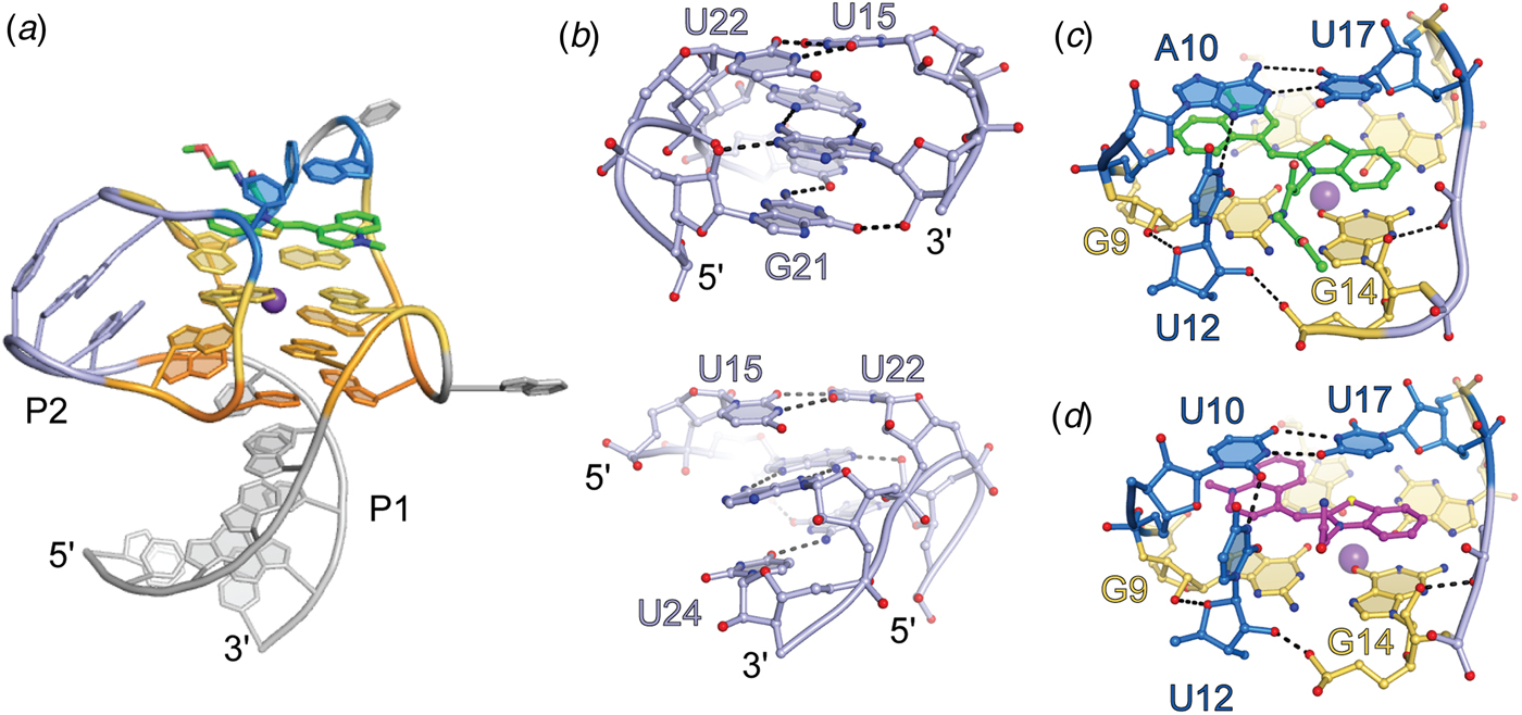 Tracking RNA with light: selection, structure, and design of ...