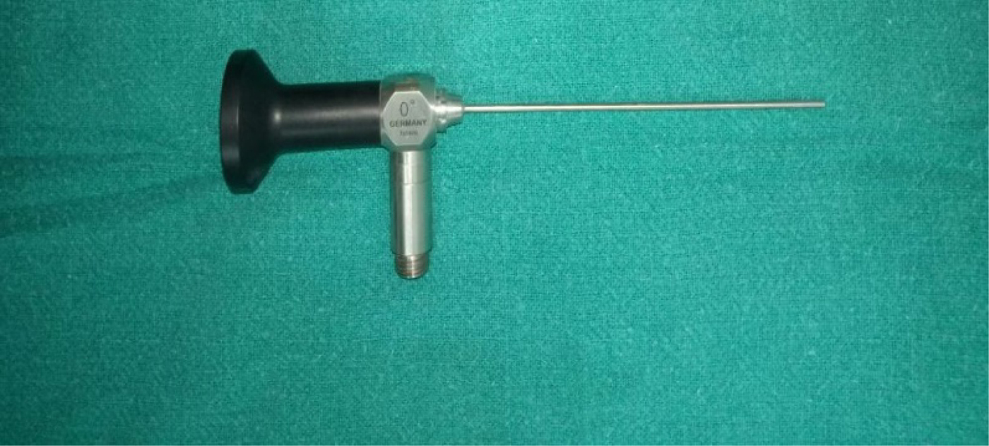 Comparative evaluation of round window niche accessibility pre ...