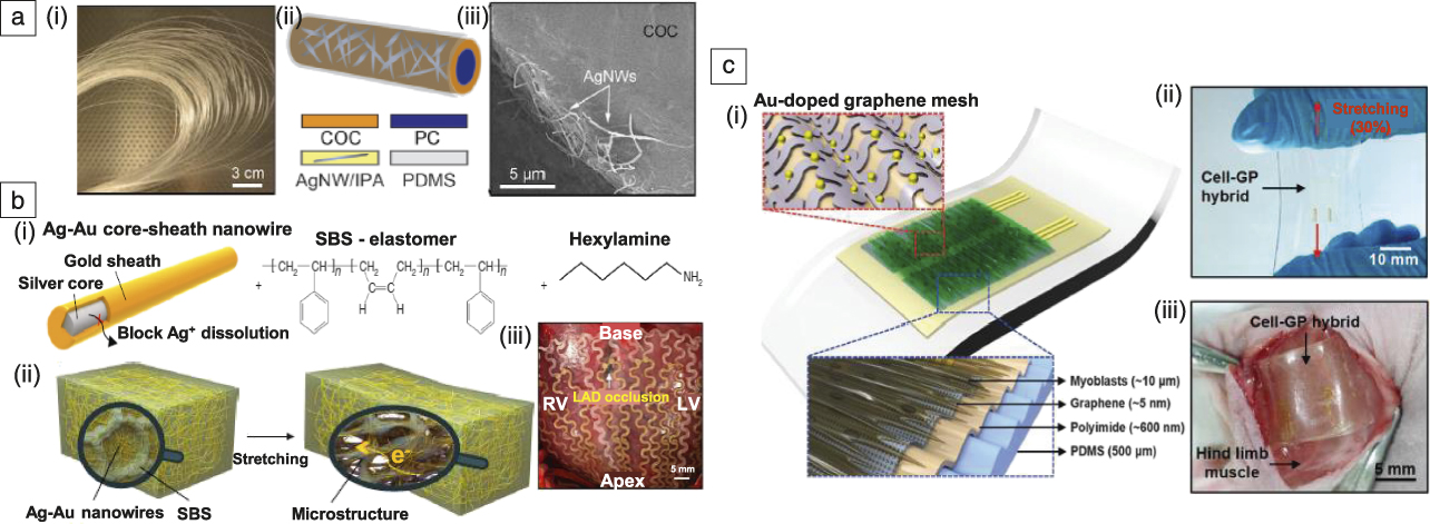 Nanomaterials-based flexible and stretchable bioelectronics | MRS ...